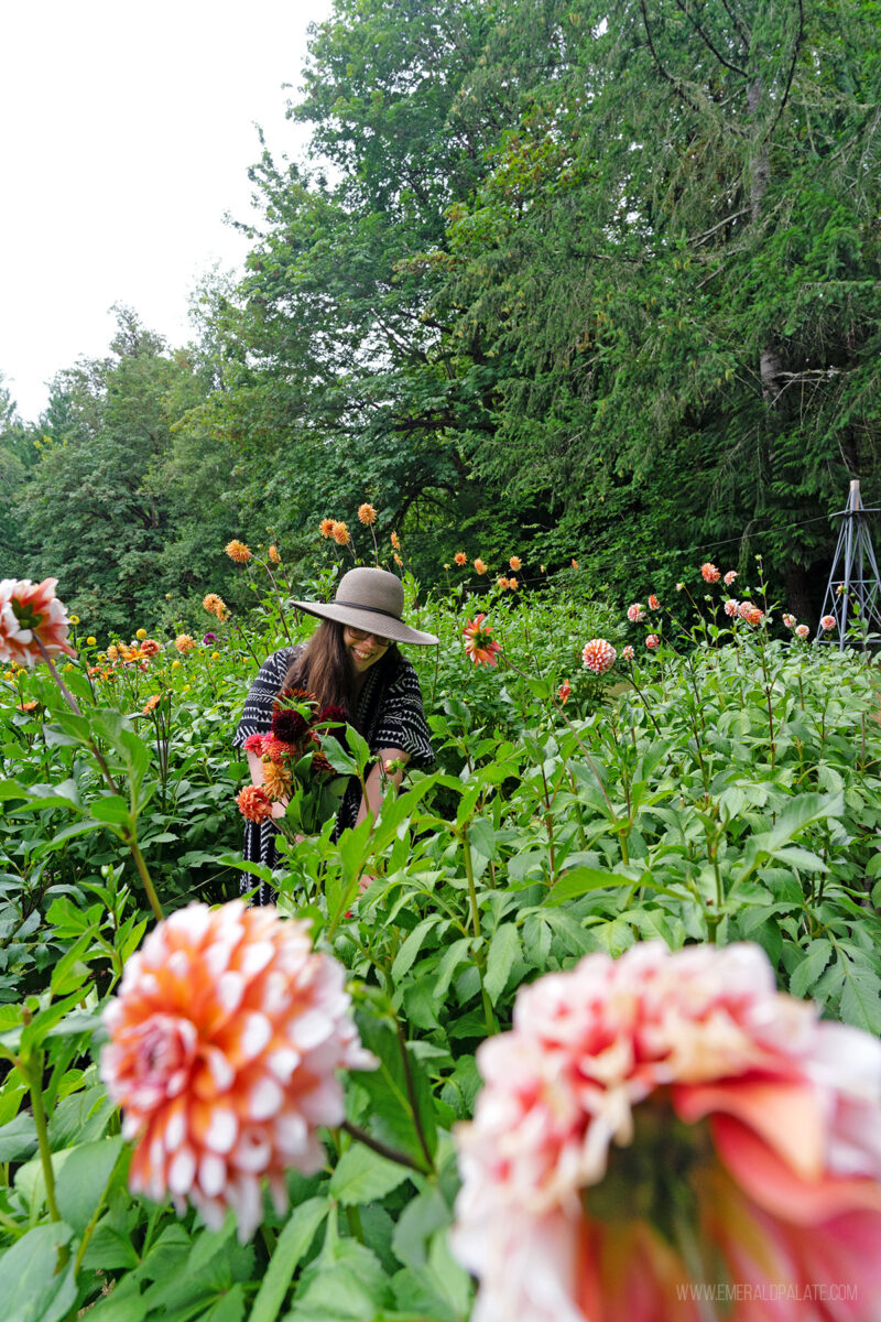 Farms with Fun Family Activities Near Seattle, Washington
