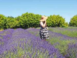 Farms with Fun Family Activities Near Seattle, Washington
