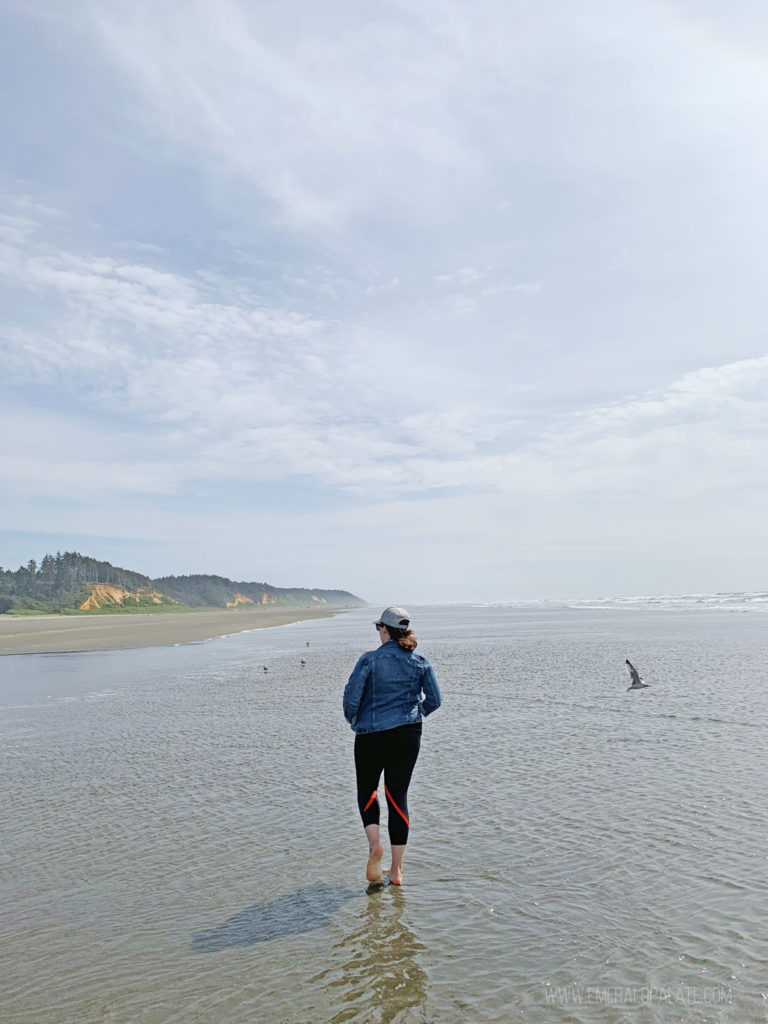 17 Washington State Beaches to Visit in Your Lifetime - The Emerald Palate