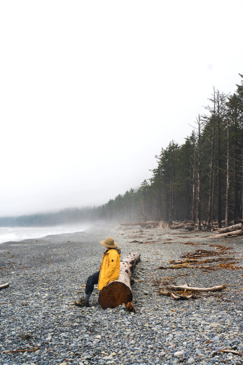 17 Washington State Beaches to Visit in Your Lifetime - The Emerald Palate