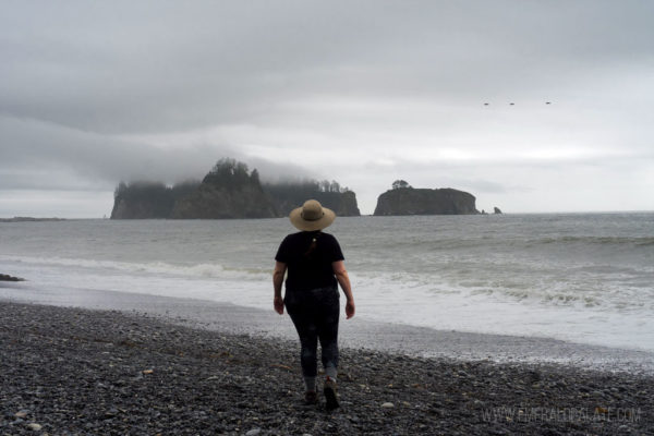 17 Washington State Beaches to Visit in Your Lifetime - The Emerald Palate