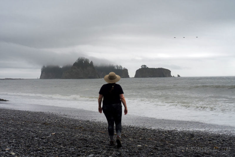 17 Washington State Beaches to Visit in Your Lifetime - The Emerald Palate