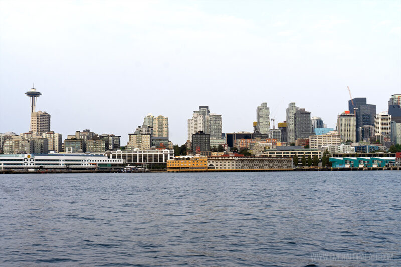 Portland to Seattle Road Trip: All the Best Stops & Detours - The ...