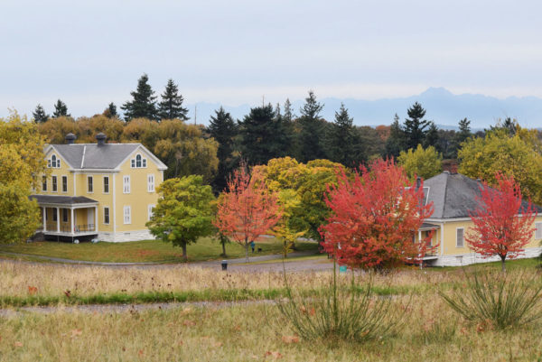 Where to Find the Best Fall Foliage in Seattle (2025) - The Emerald Palate