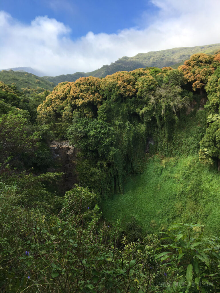 15 Easy Hikes on Maui with Stunning Views (2025) - The Emerald Palate