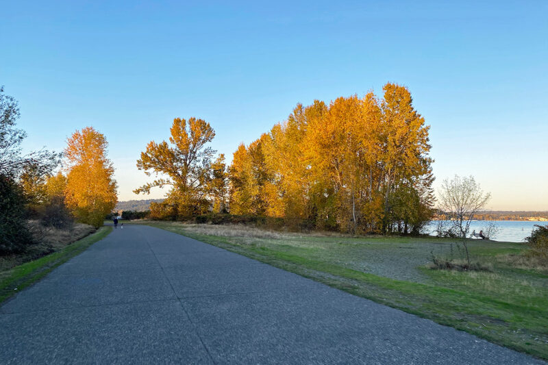 13 Fun Things to Do During Fall in Seattle (2024) - The Emerald Palate
