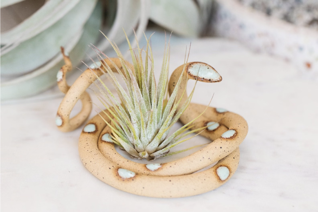 Portland and Seattle Ceramics: Local Pottery Artists to Know
