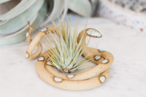 Portland and Seattle Ceramics: Local Pottery Artists to Know