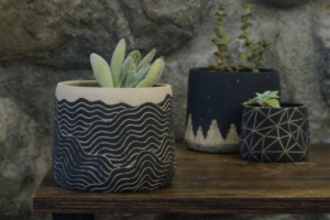 Portland and Seattle Ceramics: Local Pottery Artists to Know