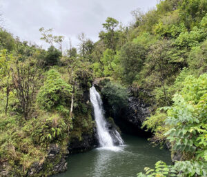 Road to Hana Itinerary: All the Best Stops & Attractions