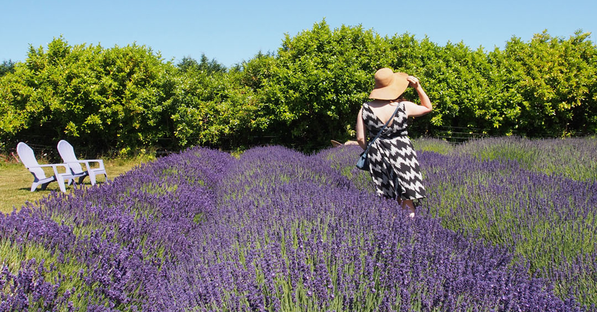 Best Things to do in Seattle in July 2025 According to a Local - The ...