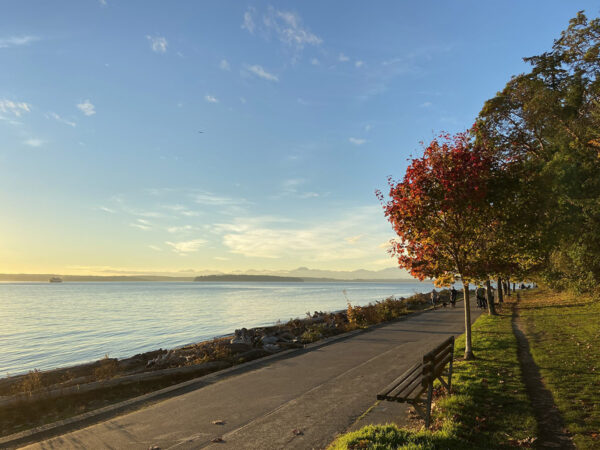 20 Best Seattle Parks According to a Local - The Emerald Palate