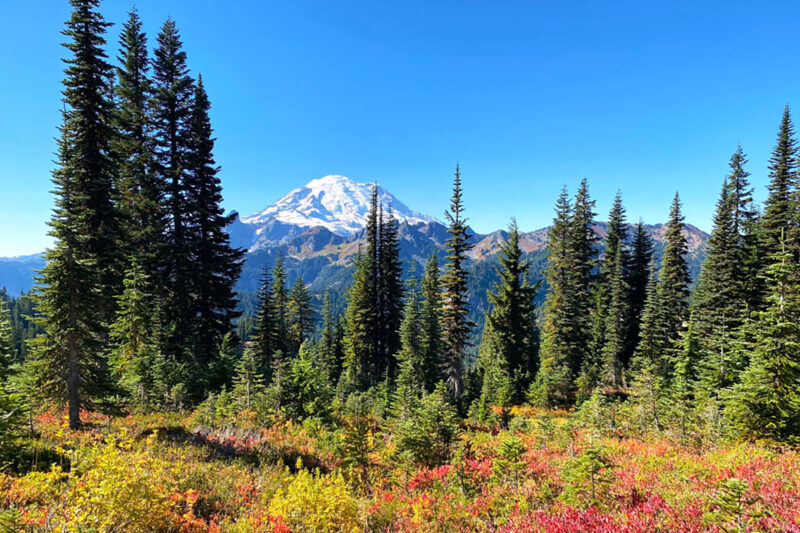 Best Seattle September Events | Apple Picking & Fall Hikes
