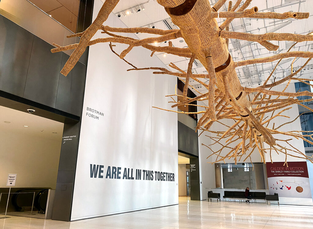 21 Free Museums in Seattle to Visit in Your Lifetime - The Emerald Palate