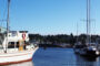 Things to do in Ballard Seattle, My Fave Neighborhood in the City - The ...