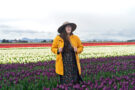 25 Best Things to Do in Seattle in April in 2026 - The Emerald Palate