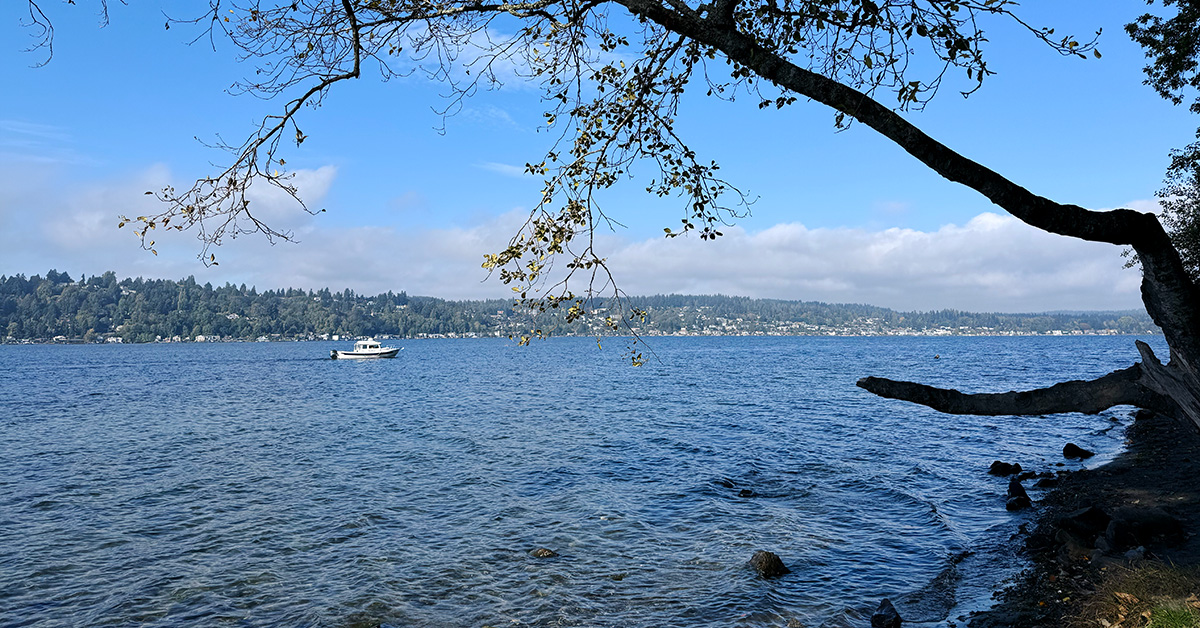 21 Things to Do in Eastside Seattle - The Emerald Palate