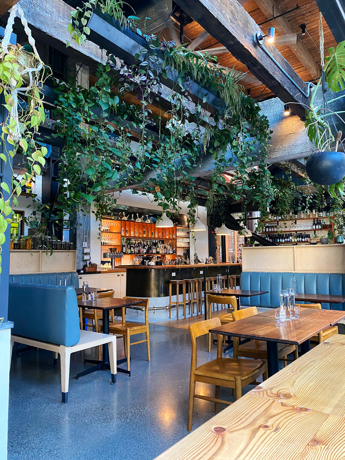 18 Best Seattle Wine Bars for Interesting Pours & Vibes - The Emerald ...