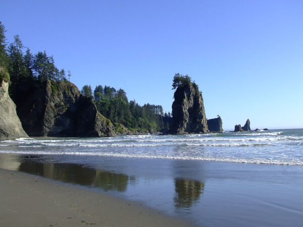17 Washington State Beaches to Visit in Your Lifetime - The Emerald Palate